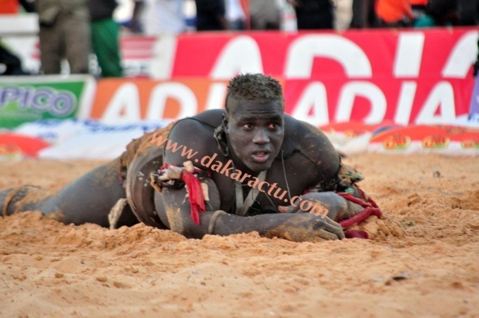 Les images du combat Malick Niang Vs Sa Thies