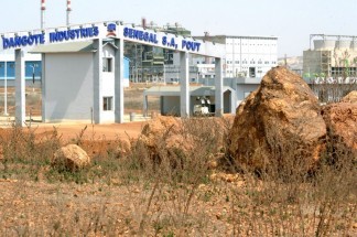 SOCOCIM vs Dangote Sénégal terre de la «Guerre» du ciment franco-nigériane