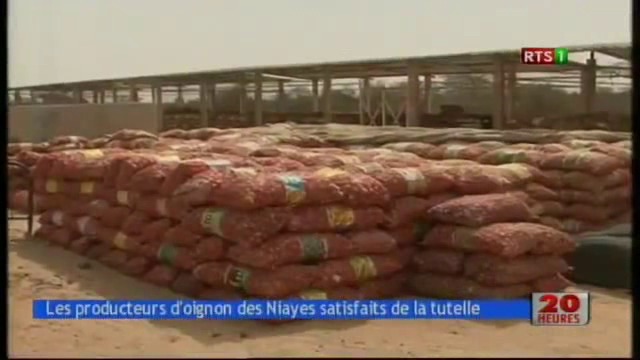 Les producteurs d'oignon des Niayes satisfaits du travail du ministère ...
