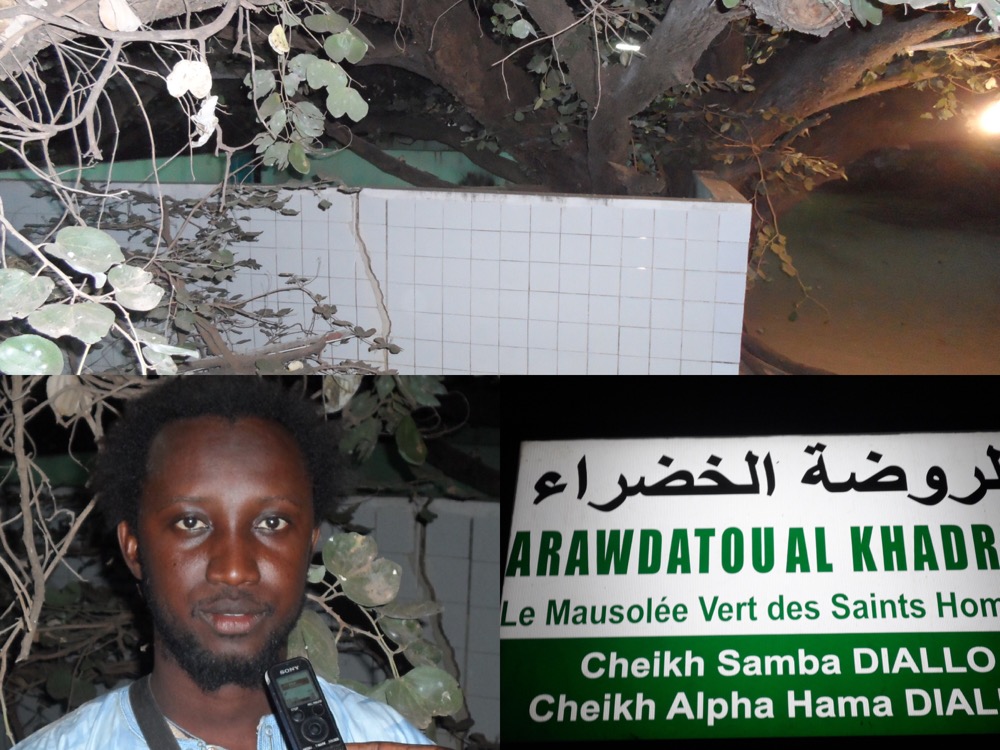 GAMOU 2016 À SAGN - À la découverte de la Rawdatul Khadara et de ses ...