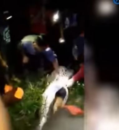 Un homme avalé en entier par un python géant en Indonésie