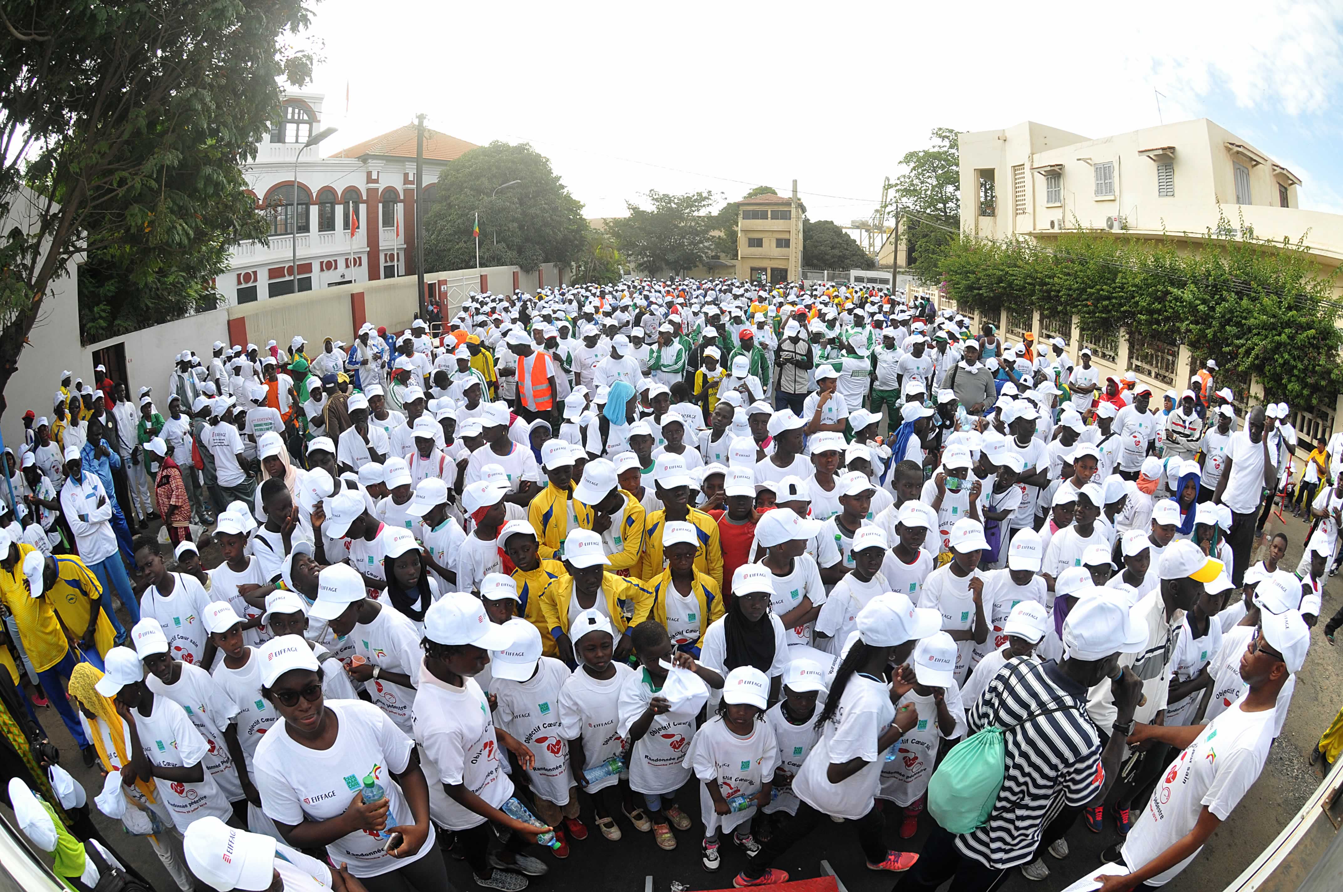 Eiffage Sénégal marche pour sensibiliser sur l’hypertension artérielle ...