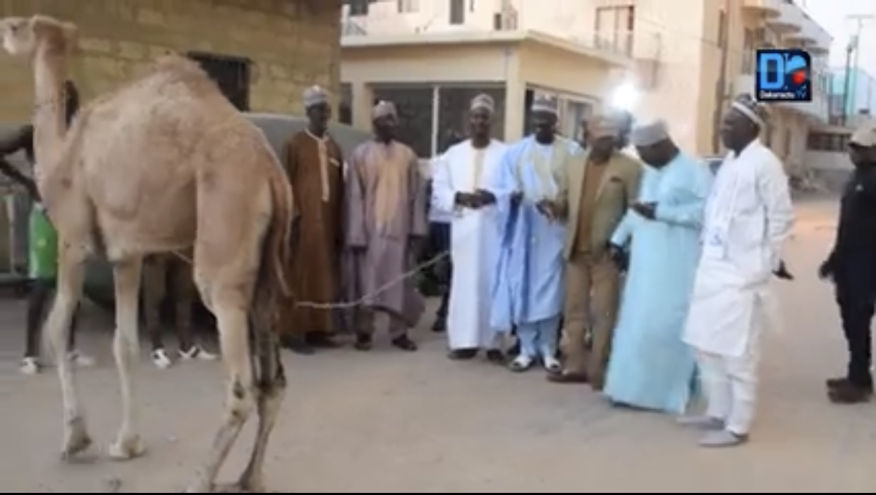 Préparatifs de la journée du 08 décembre : Cheikh Baye Oumou Niass débourse une importante ...