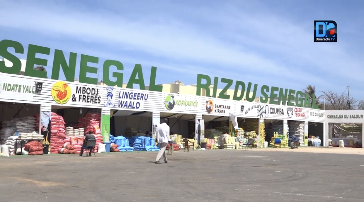 Reportage : La Grande offensive du riz sénégalais à la Fiara