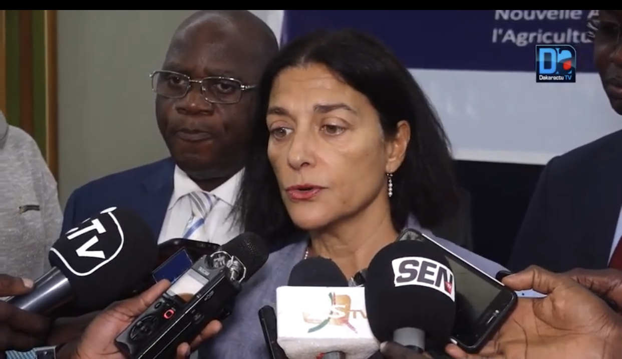 PNSSEE : Le ministre Samba Sy élabore une feuille de route assortie d ...