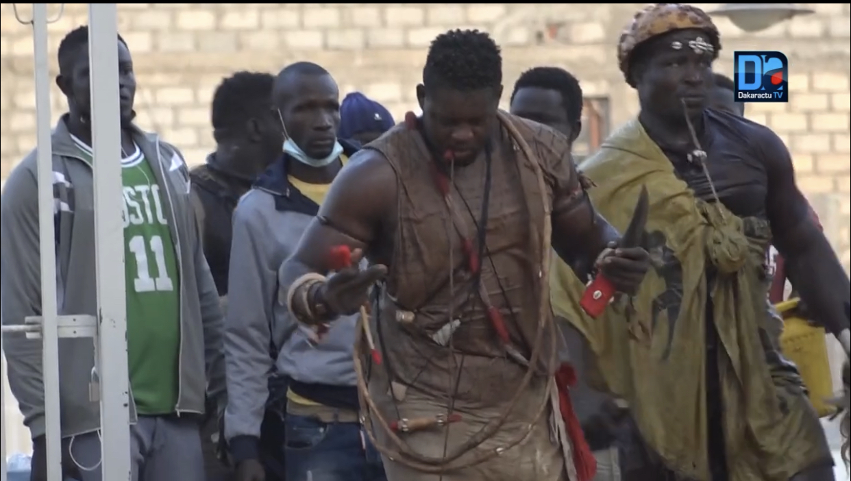 Dakaractu au cœur de la lutte traditionnelle : Revivez l'ambiance à l ...