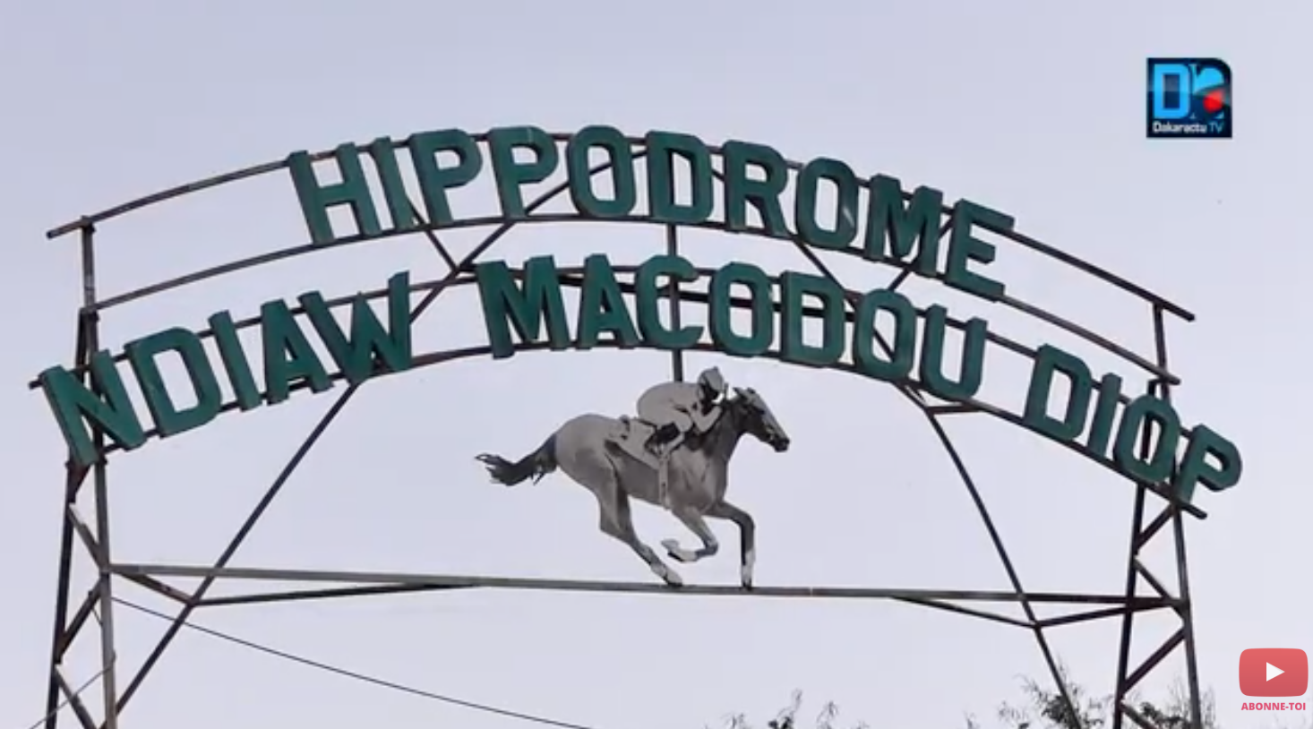 Thiès / Courses Hippiques : Le drapeau Kirène remporté par Major du ...
