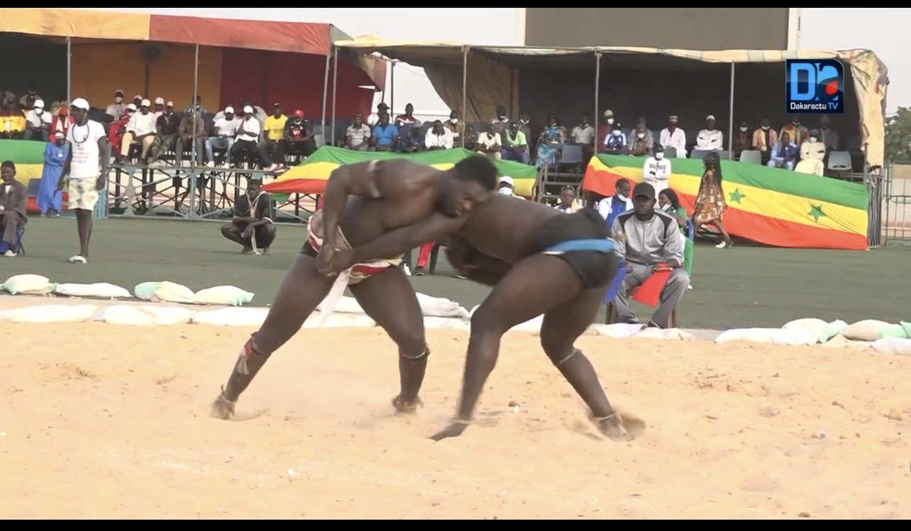 Drapeau du chef de l'État : Général Malika terrasse Simon Niodior.