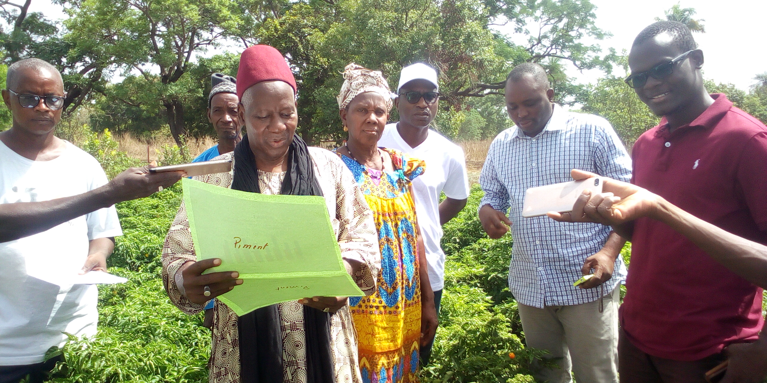 Lutte contre l’insécurité alimentaire et la pauvreté à Kolda : de ...