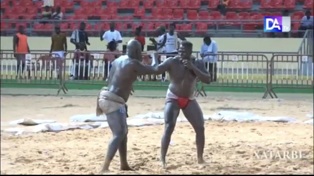 Lutte / Arène nationale : Boy Niang 2 et Domou Dialaw font match nul.