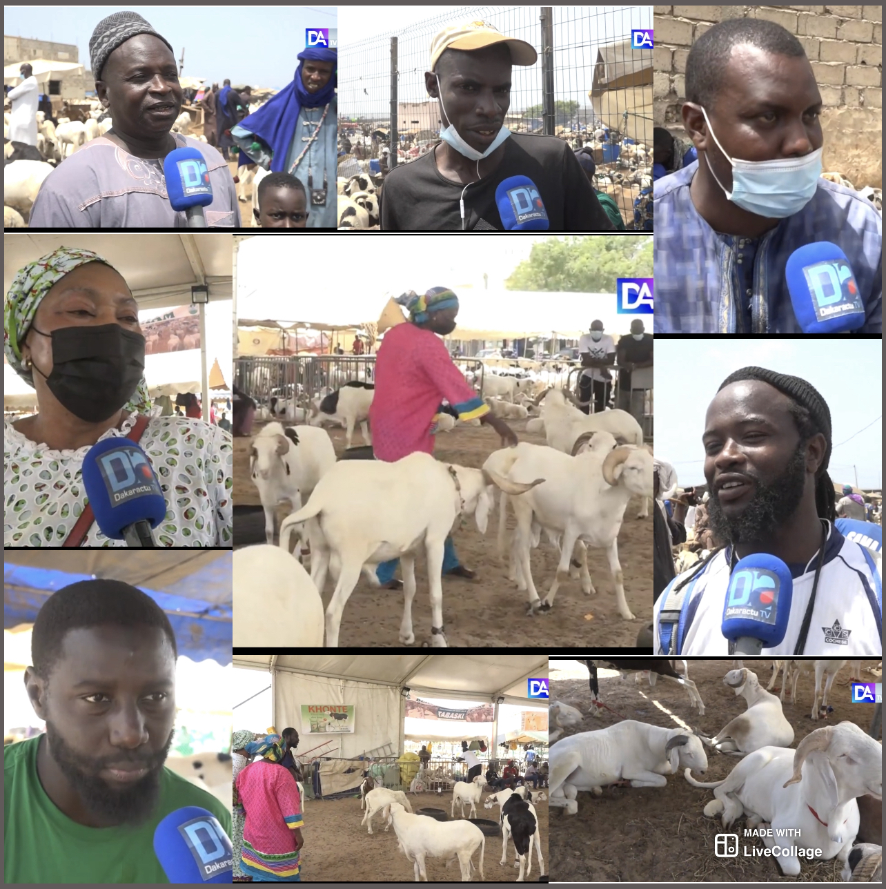 Tabaski 2021- de Sicap-Mbao à Libérté 6: un tour dans les "daarals" à ...