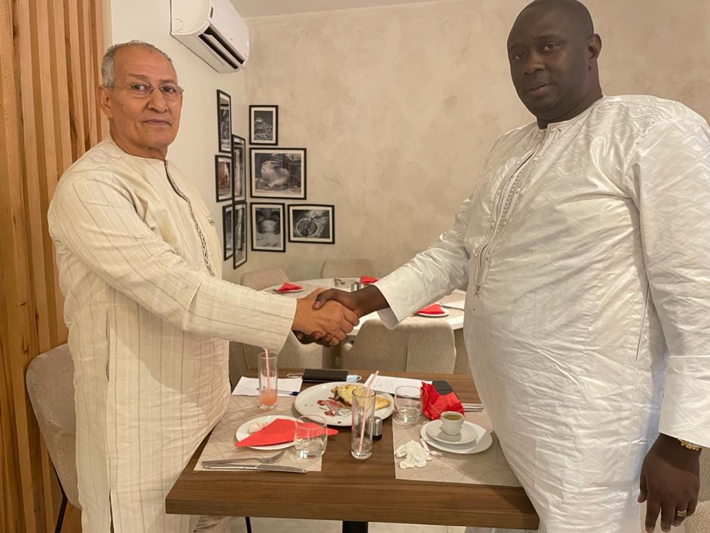 Locales 2022 à Kaolack : Abdoulaye Khouma et Mohammad Rajab de l'UDR se ...