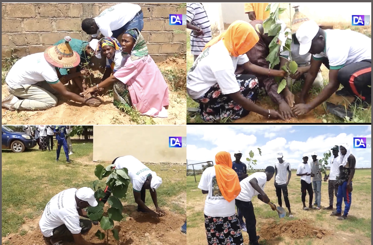Matam : avec l'appui de l'ASERGMV, des jeunes de Thiarène et Boynadji ...