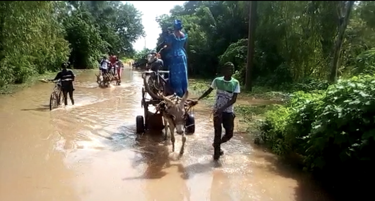 KOLDA : l'eau isole les départements de Kolda et de Médina Yoro Foulah...