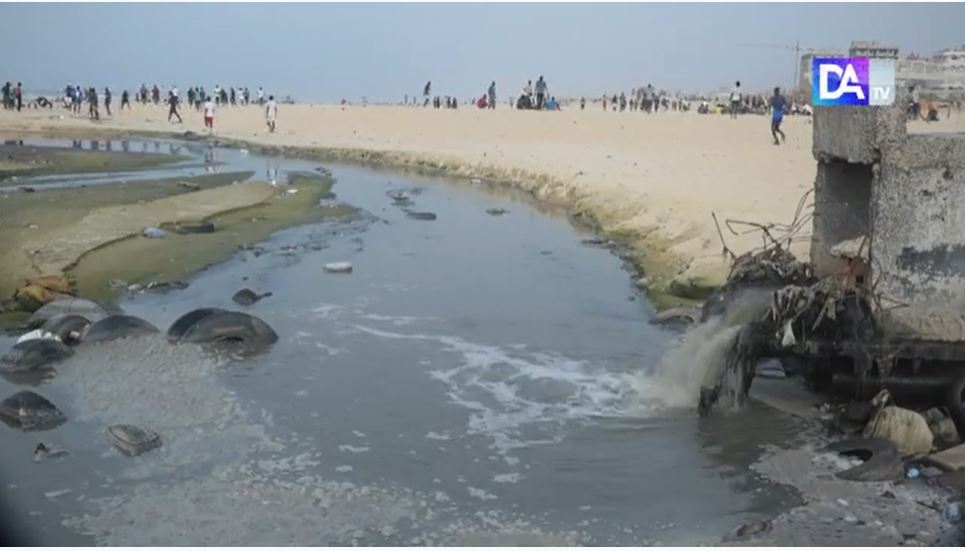 Pollution marine : les eaux usées souillent la plage de Diamalaye ...
