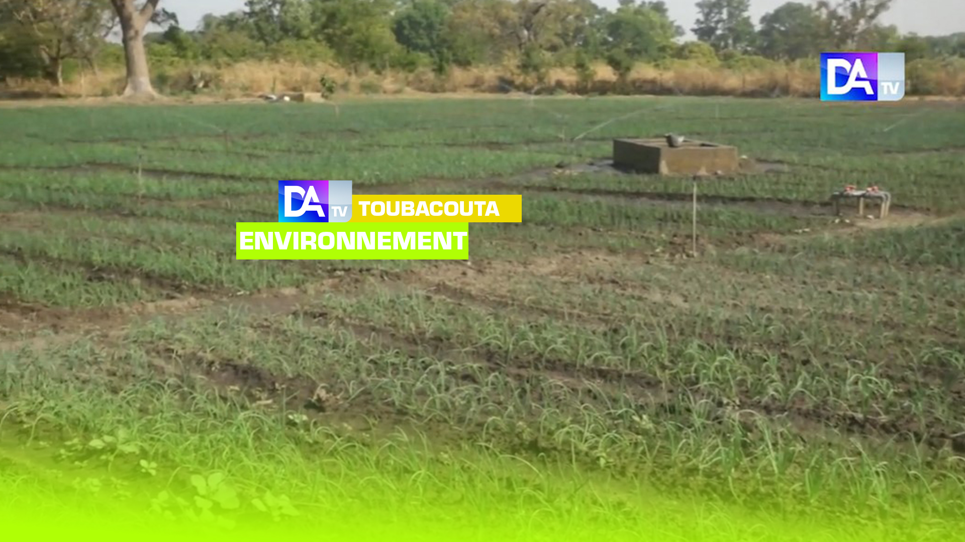 Toubacouta: Pariis révolutionne les périmètres maraîchers grâce au ...