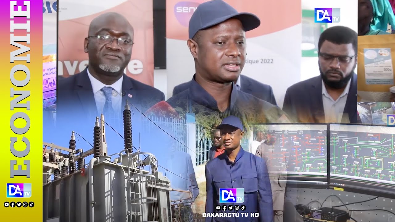 Senegal's Energy Sector: Minister Diome Highlights Advances and ...