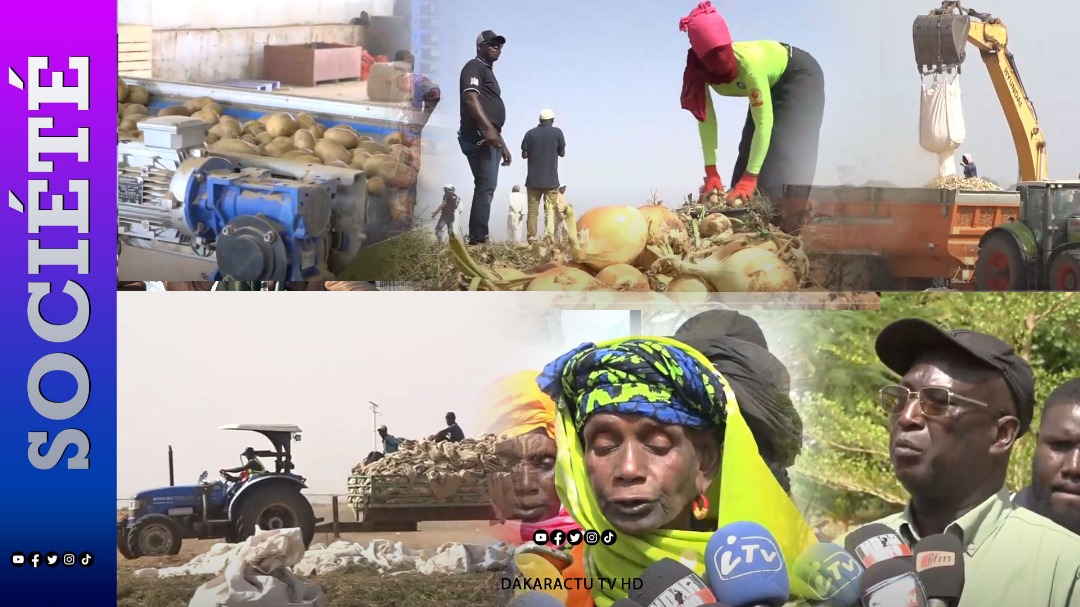 Mbane / Swami-agri : Un modèle d’agriculture moderne qui transforme le ...