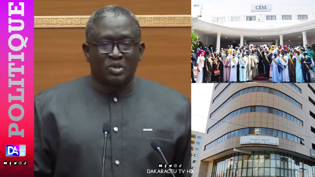 Dissolution HCCT-CESE : Le show parlementaire d’Ayib Daffé à l ...