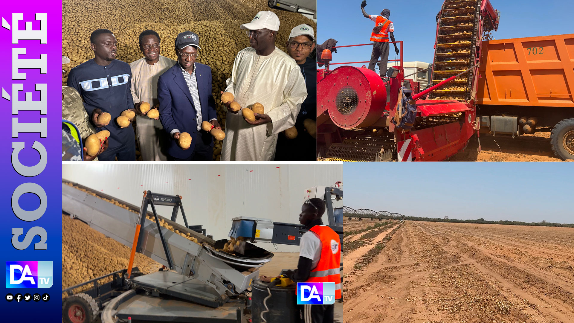 Mbane/ Production de semences certifiées : SWAMI AGRI, donné en exemple ...